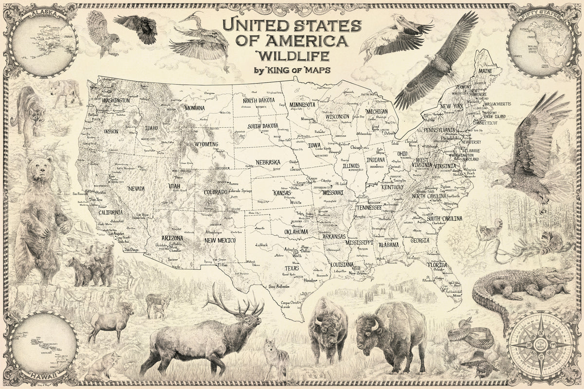 USA WILDLIFE MAP - Hand-drawn map of the USA and its wildlife – King of ...