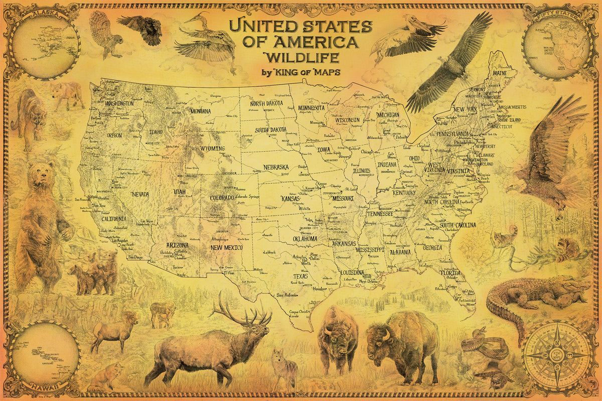 USA WILDLIFE MAP - Hand-drawn map of the USA and its wildlife – King of ...