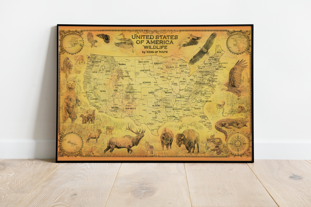USA WILDLIFE MAP - Hand-drawn map of the USA and its wildlife – King of ...